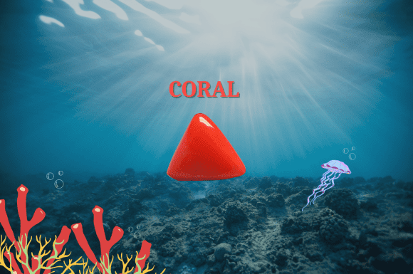 Frequently Asked Questions About Red Coral | IIG South